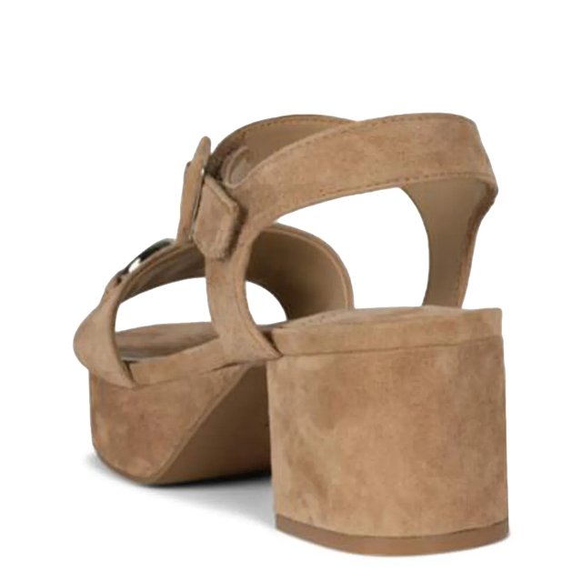Jeffrey Campbell Women's Timeless Sandal | The Shoe Co.