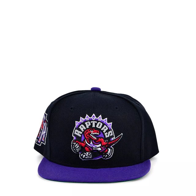 Mitchell & Ness Toronto Raptors NBA Youth Basic Snapback Cap | The Shoe ...